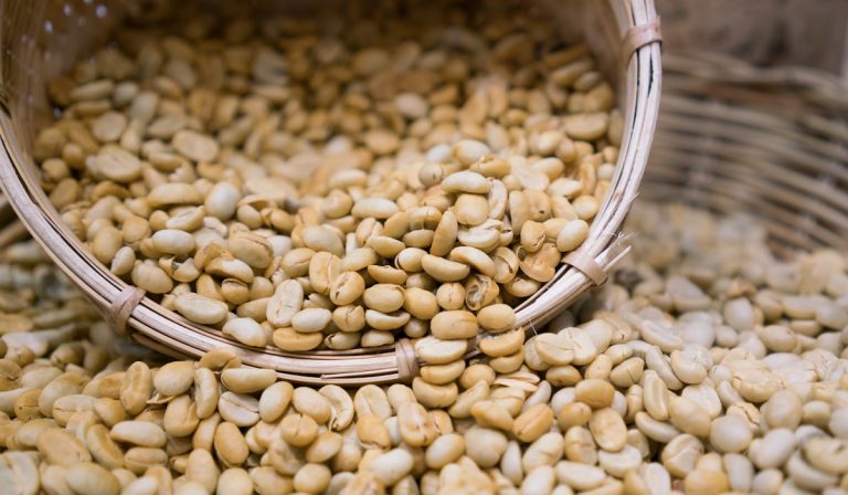 Roasted vs. Unroasted Coffee Beans (What Are the Differences?) - Coffee ...